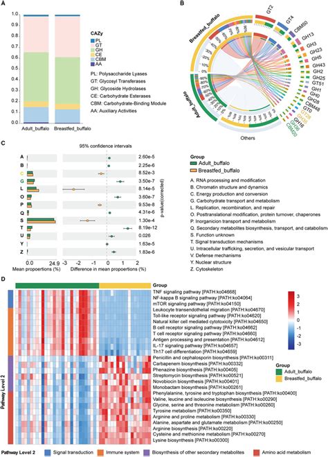 Functional Composition And Differential Analysis Of Rumen Microbes In Download Scientific