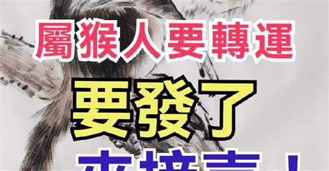 屬猴人要轉運 要發了 來接喜 趣聞圖說