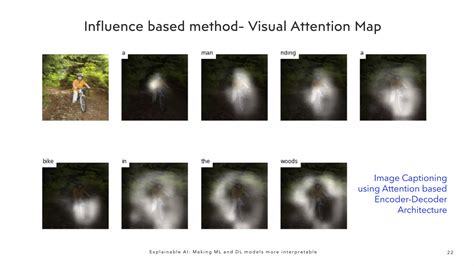 explainable ai making ml and dl models more interpretable pdf