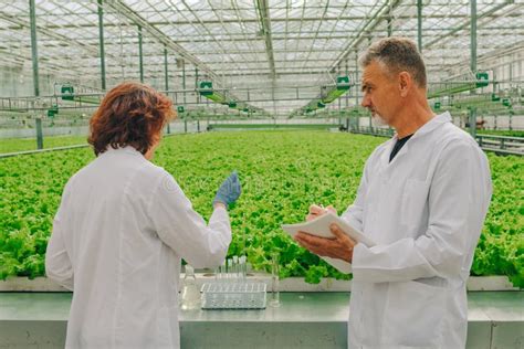 Biologists Genetic Engineering Specialists Take Soil Samples In