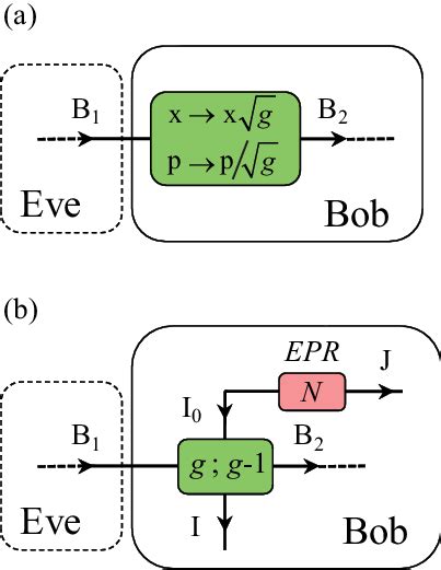 Model For A An Ideal Phase Sensitive And B A Practical Download Scientific Diagram