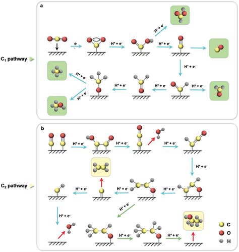 The Possible Reaction Pathways Of Different Co2 Reduction Products A