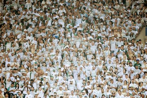 Palmeiras x Cerro Porteño mil ingressos vendidos veja preços e como comprar palmeiras ge