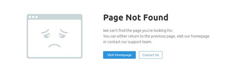 website bugs the ultimate guide to knowing fixing and reporting them