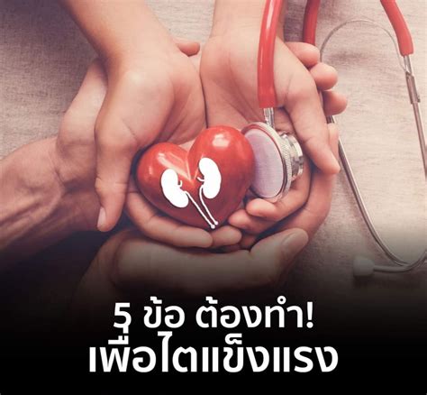 ถั่งเช่าทิเบตแท้ คอร์ดีแม็กซ์ ทำไมต้องทานถั่งเช่า ถั่งเช่าดีอย่างไร