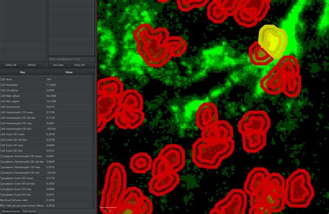 Adding Intensity Measurements For Pseudocolor IF Images Image Analysis Image Sc Forum