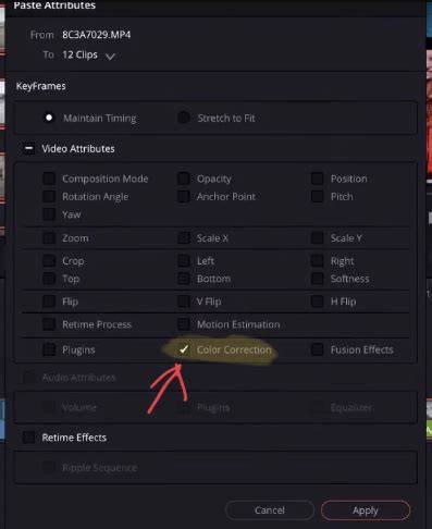 How To Copy Color Grade In Davinci Resolve Step By Step Hollyland