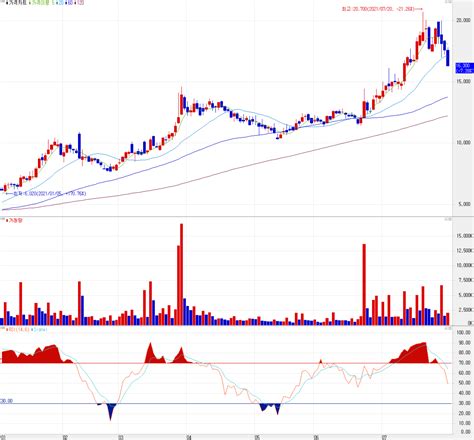 위지윅스튜디오 기업주가 전망