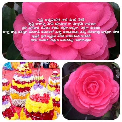 balraju vadlakonda on linkedin flower