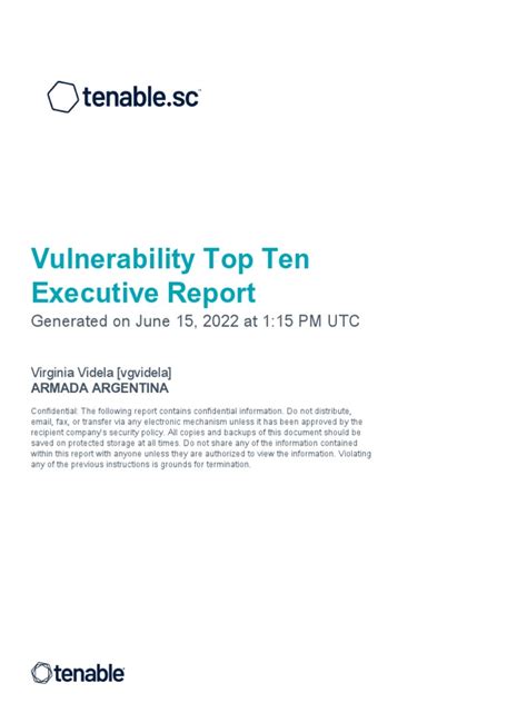 Vulnerability Top Ten Executive Report Pdf Vulnerability Computing