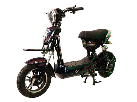 Bình ắc Quy Xe đạp điện Ev X1 Chính Hãng