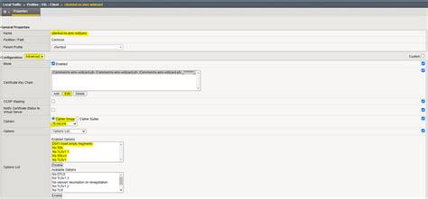 F5 Ssl Bridging Configuration Kerry Cordero