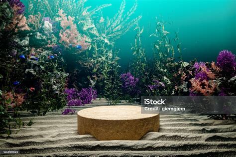 3d 렌더링 Abstact 무대 연단 배경 수중 배경의 파도 모래 위에 둥근 연단 해초 산호 물고기 및 제품 전시를 위한 빛 모형 및 쇼케이스 강단에 대한 스톡 사진 및