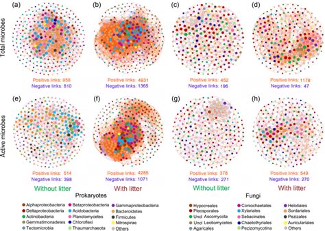 The Co Occurrence Patterns Of The Total Ad And Active Eh Microbes Download Scientific