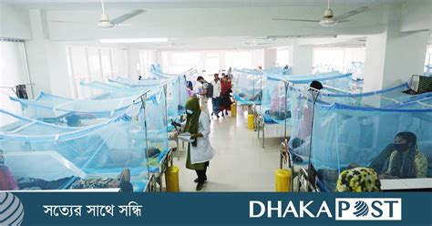 ডেঙ্গু জুনের তুলনায় জুলাইয়ে ৭ গুণ বেশি রোগী