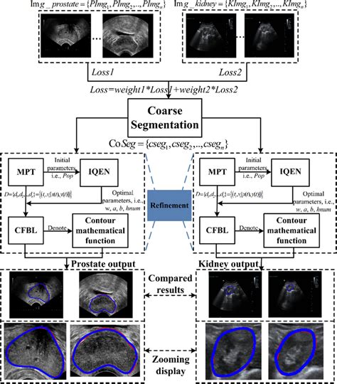 Flowchart Of Our Developed Model Download Scientific Diagram