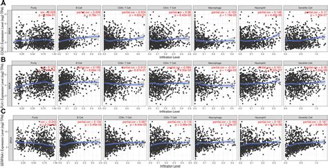 Frontiers Identification Of Tumor Antigens And Immunogenic Cell Death