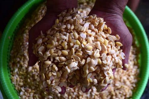 Khasiat Tempe Makanan Tradisional Indonesia Yang Kaya Manfaat Pilar ID