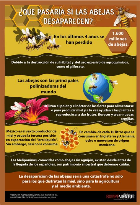 Qué pasaría si las abejas desaparecen Rompeviento