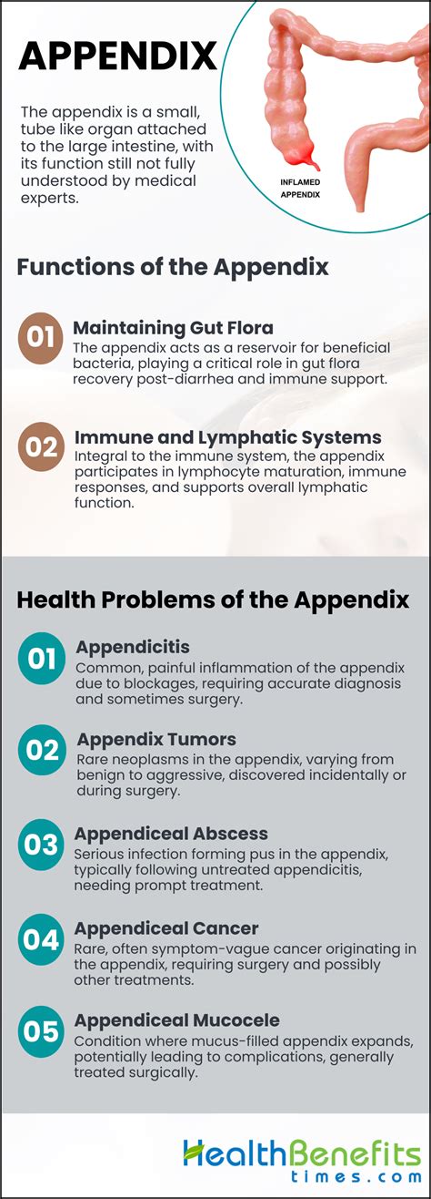 What Is Appendix Health Benefits