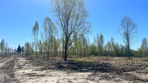 Купить участок ИЖС в коттеджном посёлке Прибрежный в Кировском районе Ленинградской области