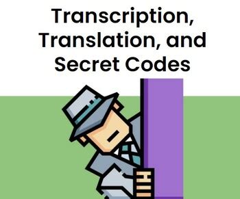 Transcription Translation And Secret Codes By Mr Fox Science Rox