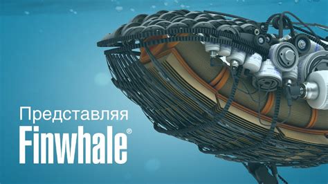 Finwhale - сила и мощь кита - YouTube