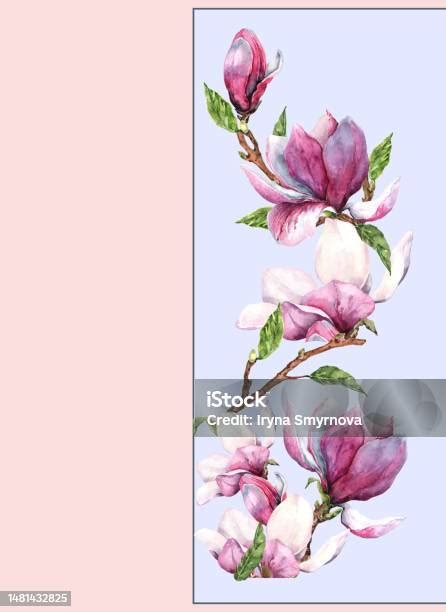 텍스트를 위한 공간이 있는 수직 꽃꽂이 나뭇 가지에 큰 꽃 봉오리가있는 섬세한 목련 꽃 손으로 그린 수채화 그림은 청첩장 카드 배너 포스터 인쇄 라벨을 위해 파란색 배경에