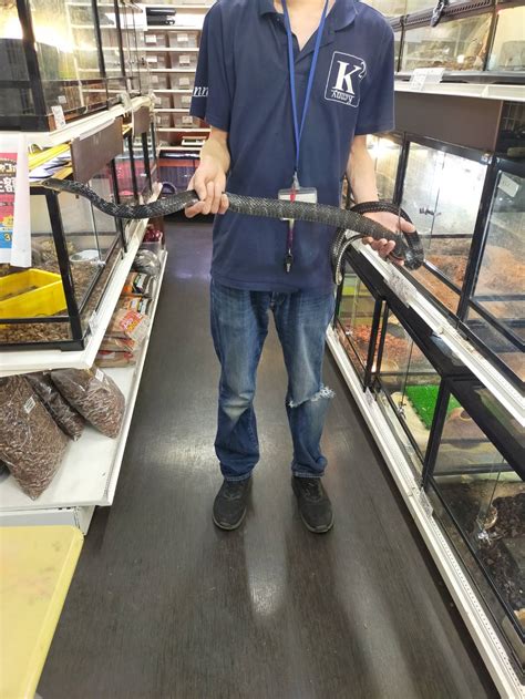 Kenny東京本店 （買取king）