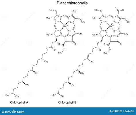 Structural Chemical Formula Of Nicotine Infographics Illustration