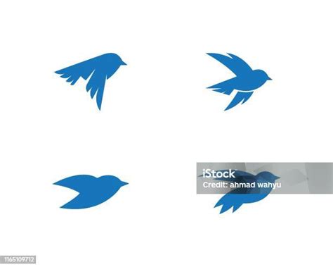 조류 로고 템플릿 개념에 대한 스톡 벡터 아트 및 기타 이미지 개념 공작새 날기 Istock
