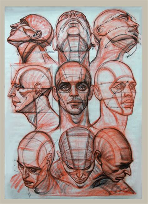 Pin By Hollywood On Art And Anatomy Reference Face Drawing Sketches
