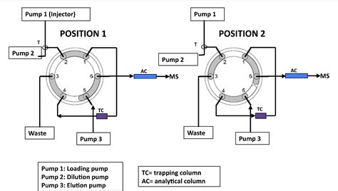 Figure 2 From Multidimensional LC MS MS Enables Simultaneous Quantification Of Intact Human