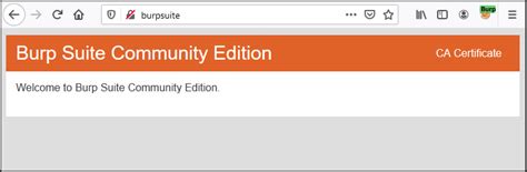 setting up burpsuite infinite logins