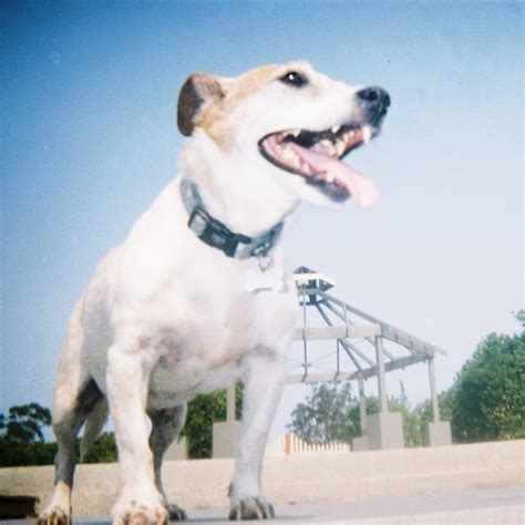 Ruby Middlemass Youtube