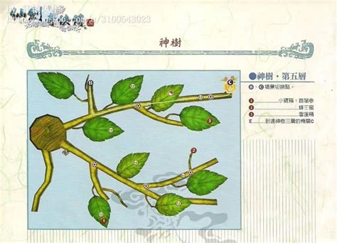 【仙剑奇侠传三】4k完美流程攻略（全收集 全支线 全古董 全尸块） P25神树 哔哩哔哩