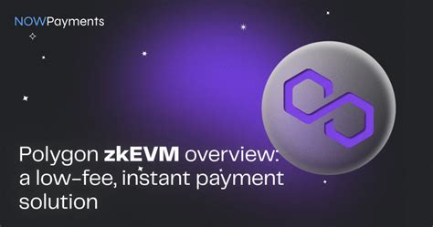 What Is Polygon ZkEVM A Full Overview NOWPayments