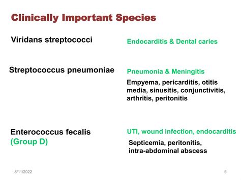 Streptococcipptx