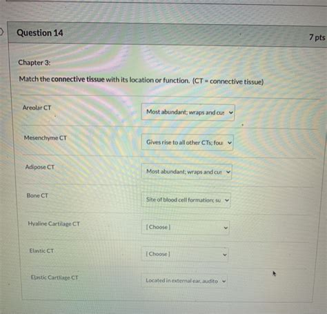 Solved Question Pts Chapter Match The Connective Chegg