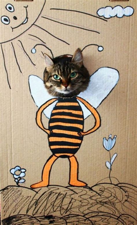 Просто котики в коробочках))) - Усатый-полосатый 😺 - Медиаплатформа ...