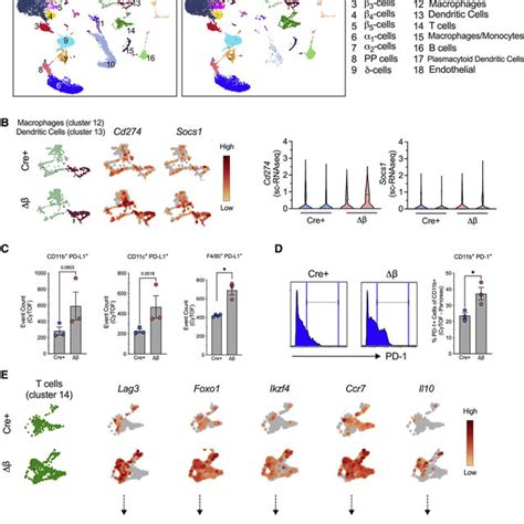Single Cell Rna Sequencing Analysis Of Islets And Cytof Of Pancreas In Download Scientific