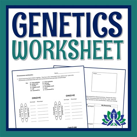 Genetics And Chromosomes Worksheet Flying Colors Science Worksheets