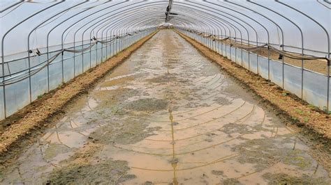 2022년 8월 30일 참외농사재배시 지출을줄인다 저라면1동매출을먼저높이겠습니다 참외농사1동매출은 천~천이백