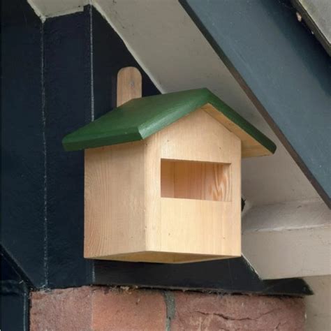 Comfort Meets Value Shop Ecuador Half Open Nest Box At Budget Friendly