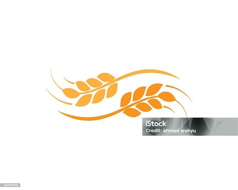 小麥標誌範本向量圖形及更多健康飲食圖片 健康飲食 小麥 插圖 Istock