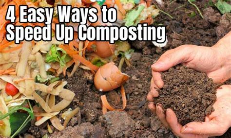 How To Speed Up Composting With A Dual Chamber Composter