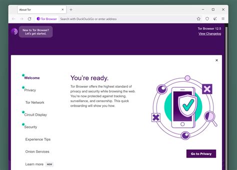 Guide Pratique Utiliser Tor Pour Windows Surveillance Self Defense