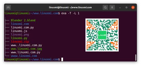 为什么我在linux上使用exa而不是ls linux迷