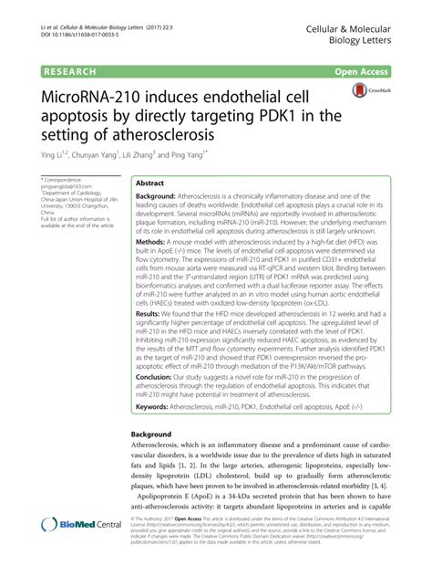 Pdf Microrna 210 Induces Endothelial Cell Apoptosis By Directly