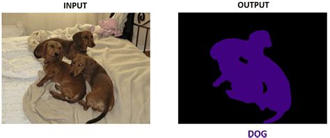 How Does A Neural Network Recognize Images Baeldung On Computer Science